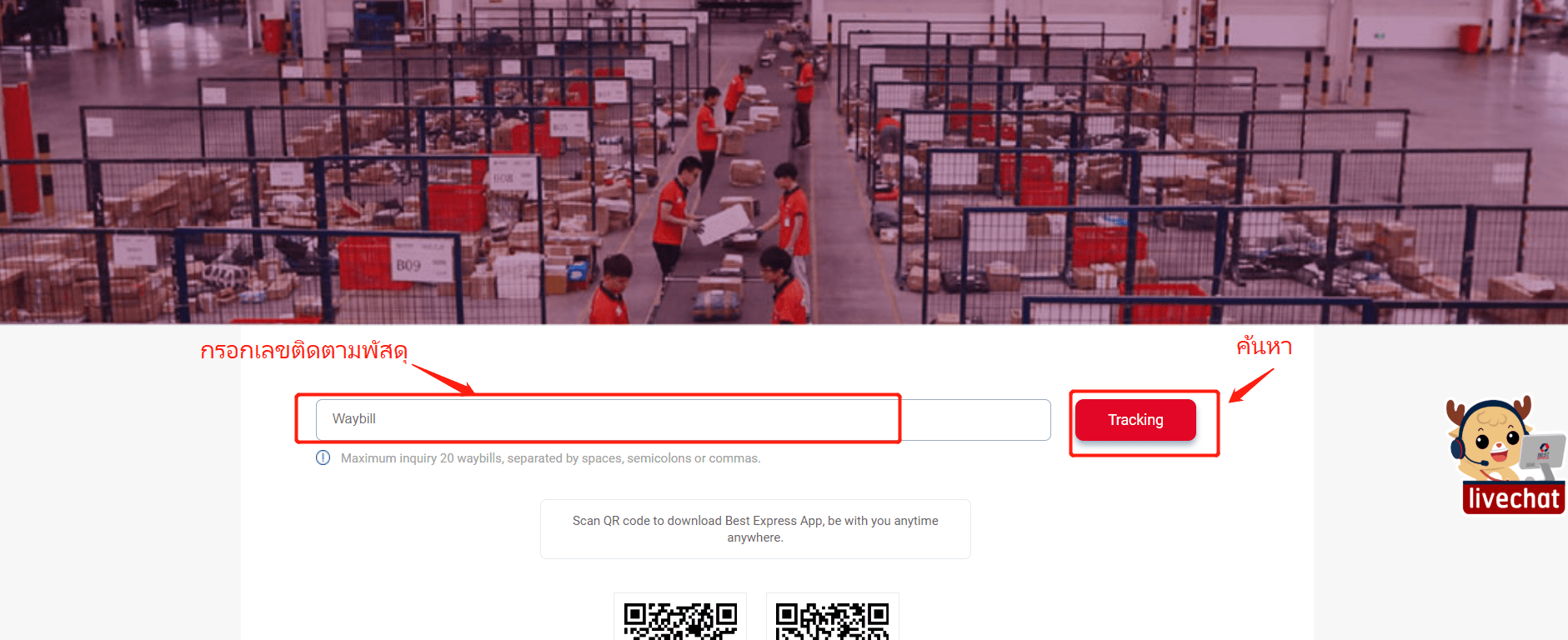 การเช็คสถานะการสั่งซื้อ - QLC Co., Ltd.